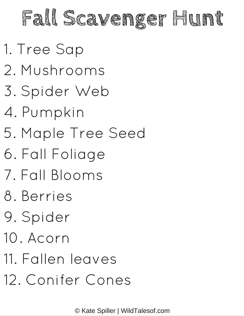 Fall Scavenger Hunt Printable for Kids - wildtalesof.com