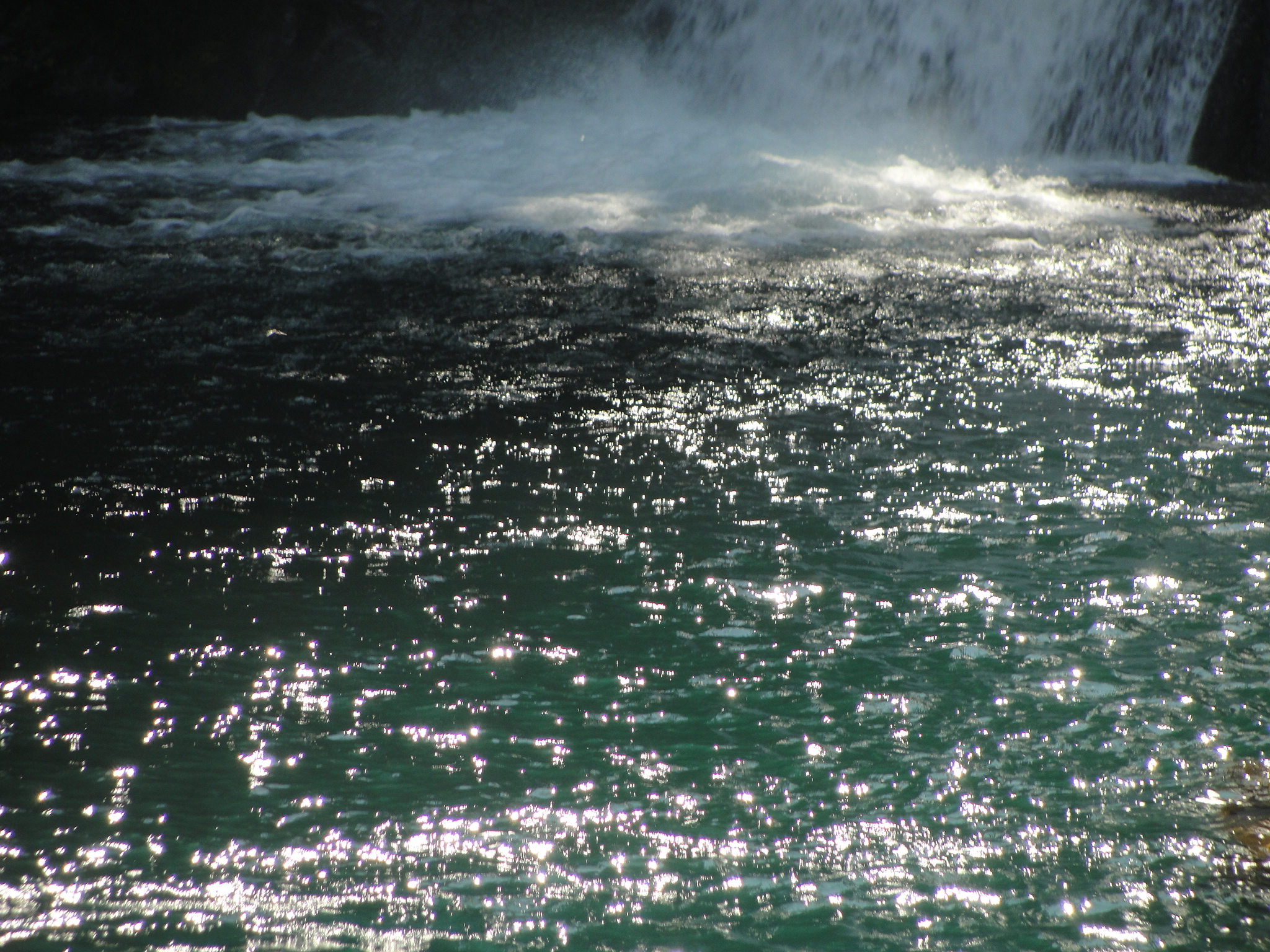 Seattle Area Adventure: Cedar River Watershed - wildtalesof.com