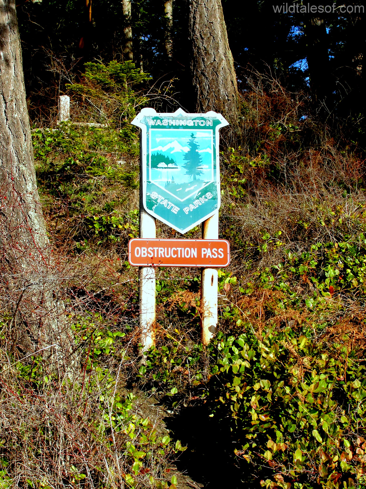 Obstruction Pass State Park: Our Bright and Sunny Gem on Orcas Island ...