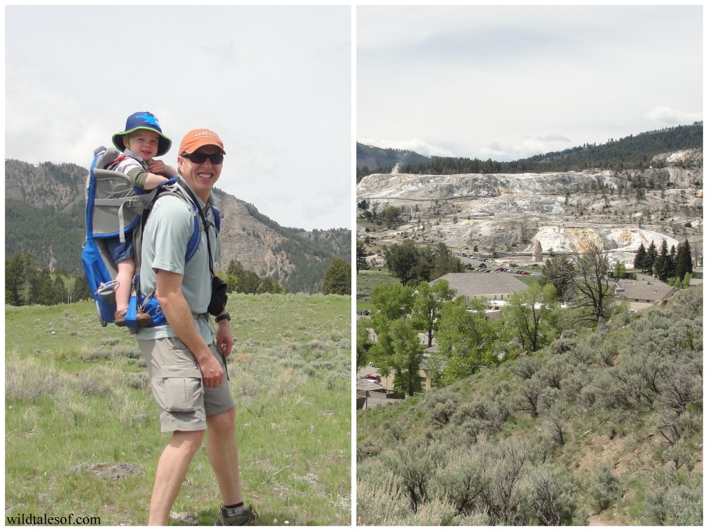 Trail Run in Yellowstone National Park: Beaver Ponds Loop - wildtalesof.com