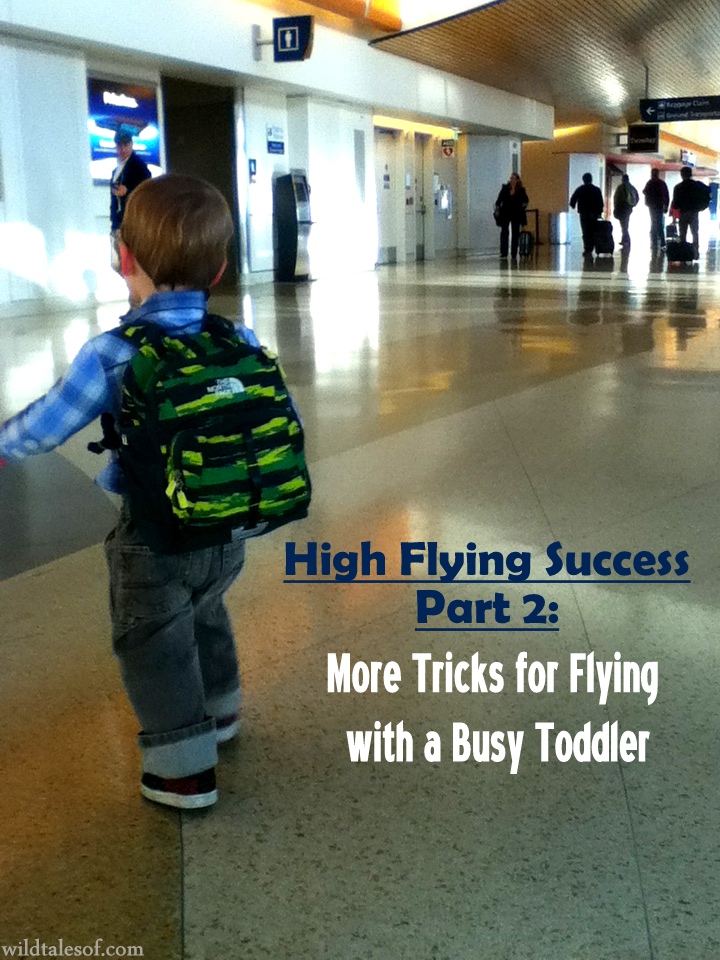 High Flying Success Part 2: More Tricks for Flying with a Busy Toddler ...