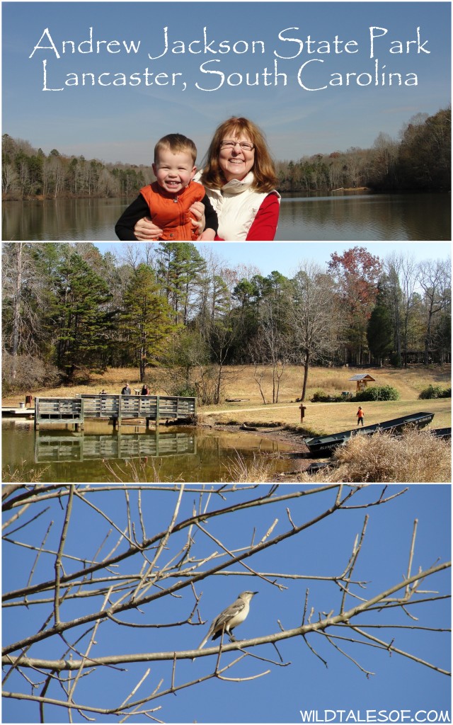 Exploring Art, History and Nature in South Carolina's Andrew Jackson ...
