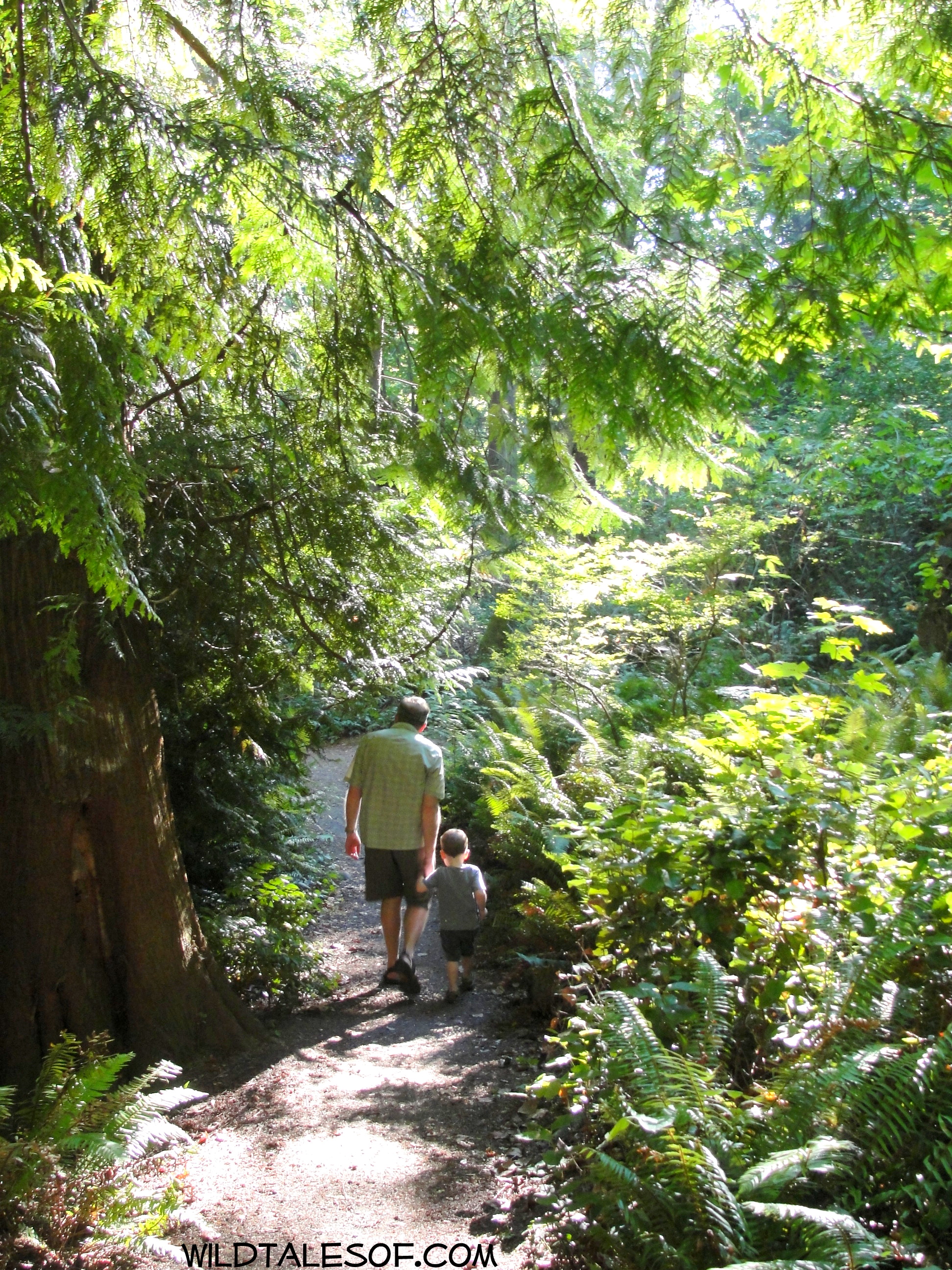 Hiking with a Preschooler: Out of Carriers and Into Independence ...