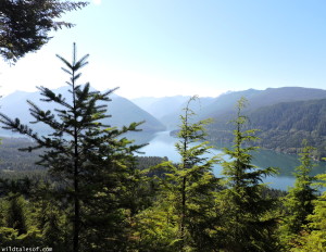 4 Ways to Enrich Your Next Hike featuring Central Cascade's Spada Lake ...